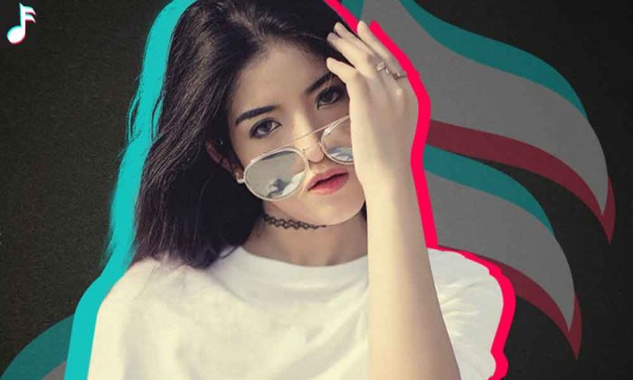 How To Make TikTok Videos for Beginners - Brandsynario