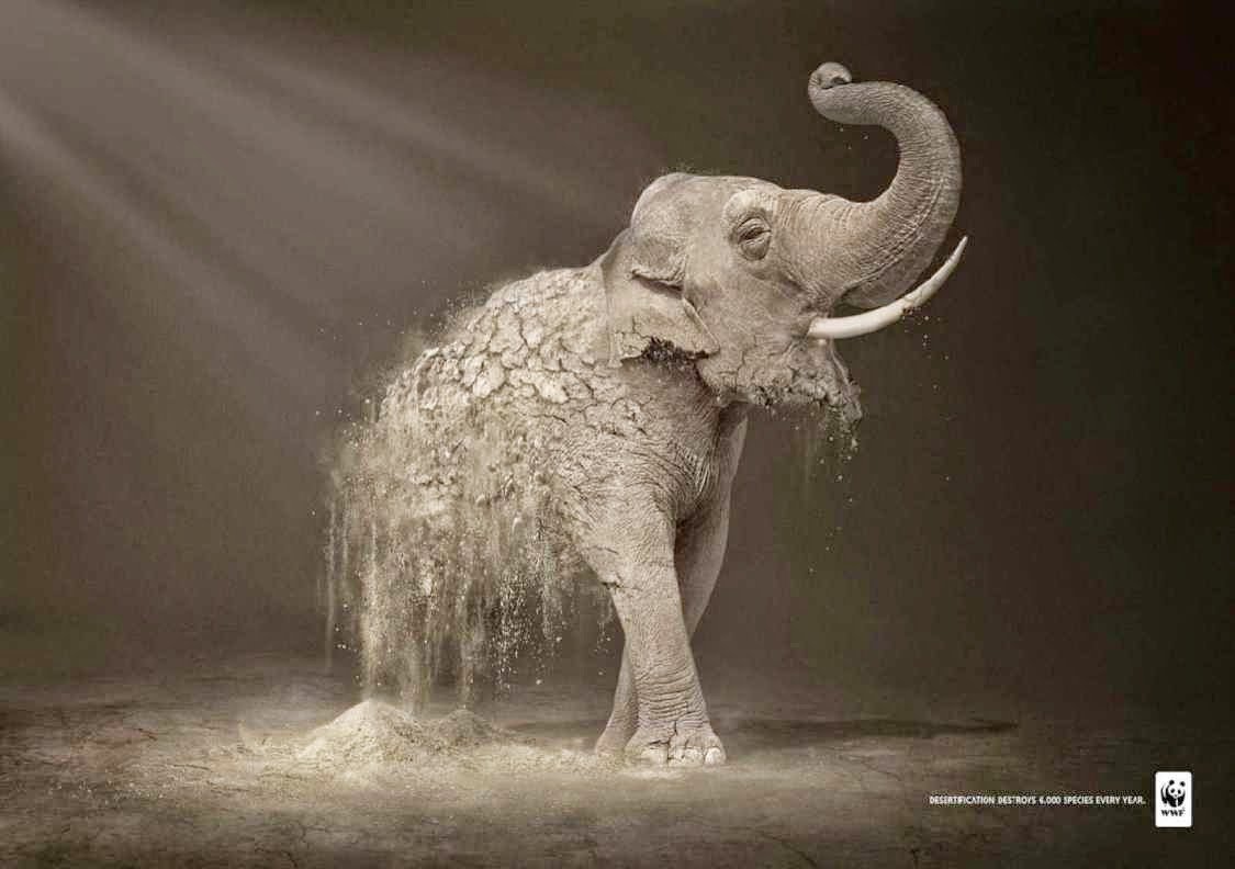 10 Persuasive Print Ads You Must See Once