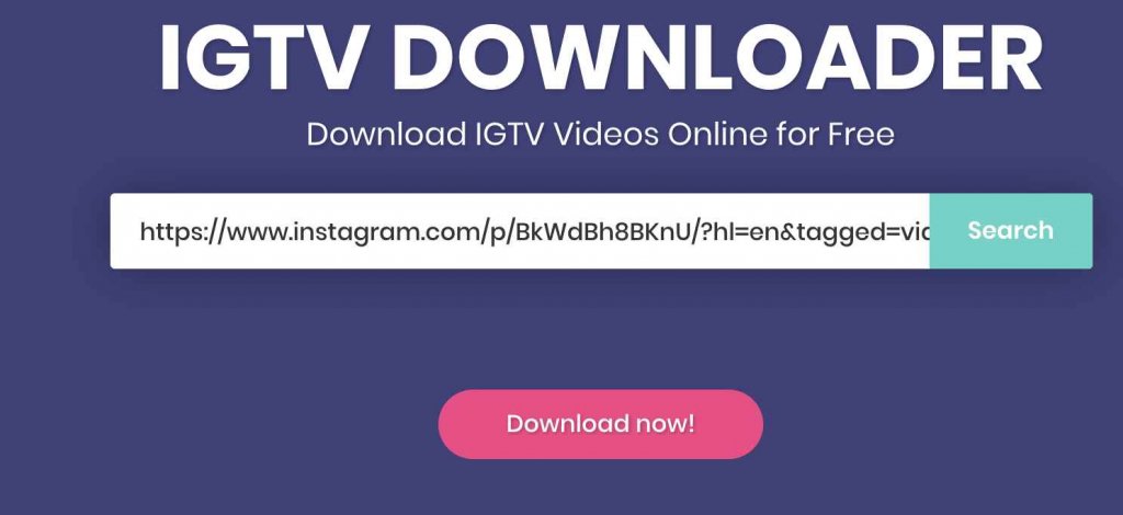 How To Easily Download Instagram Videos Online in MP4