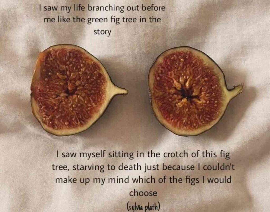 Why Gen Z Relates to Sylvia Plath’s Fig Tree Metaphor