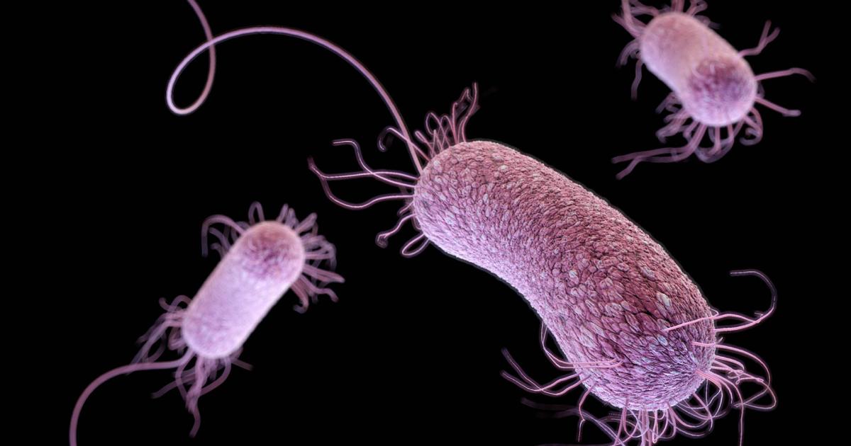 WHO Warns Of Dangerous Superbug Infections