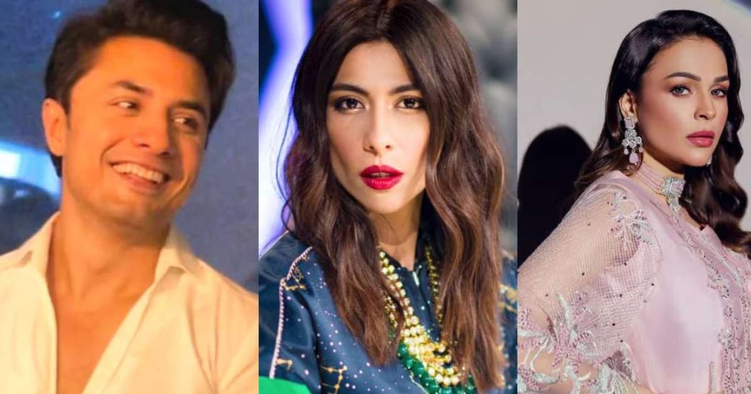 Mahenur Haider Supports Ali Zafar